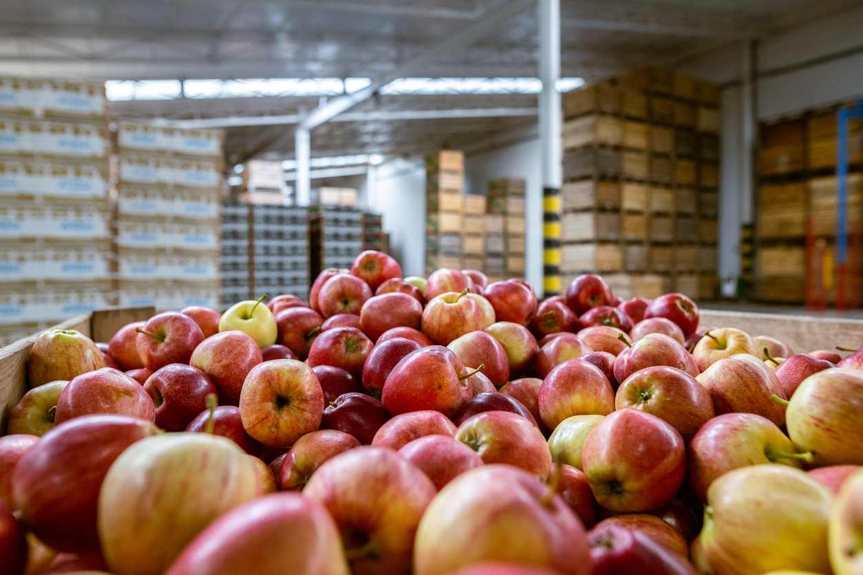 What Is a GPO? - Foodbuy Foodservice